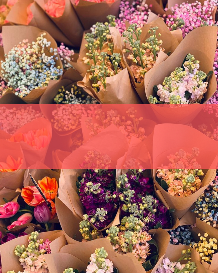 Therapy Stores | Shopping for All